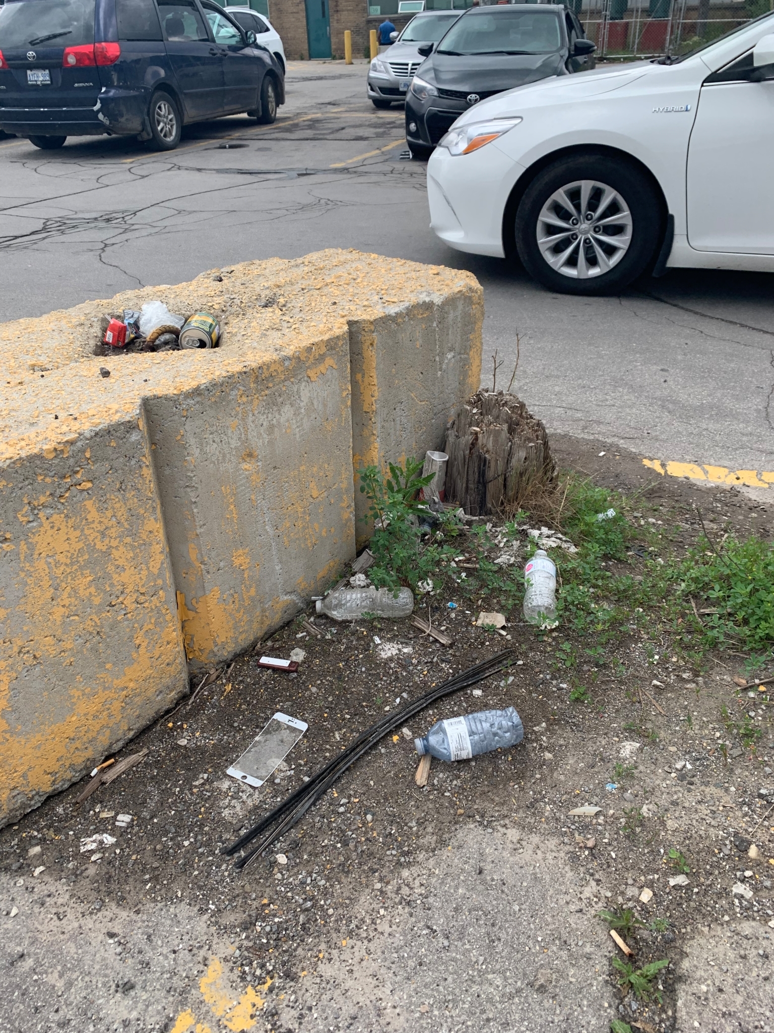 Drive Test - 37 Carl Hall Road, Toronto, ON