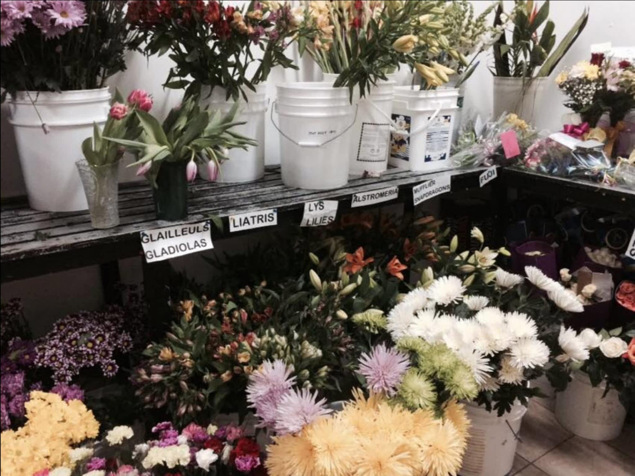 Fleuriste Leonard Flower Shop - Tracadie-Sheila, NB - 3470 Main Street ...