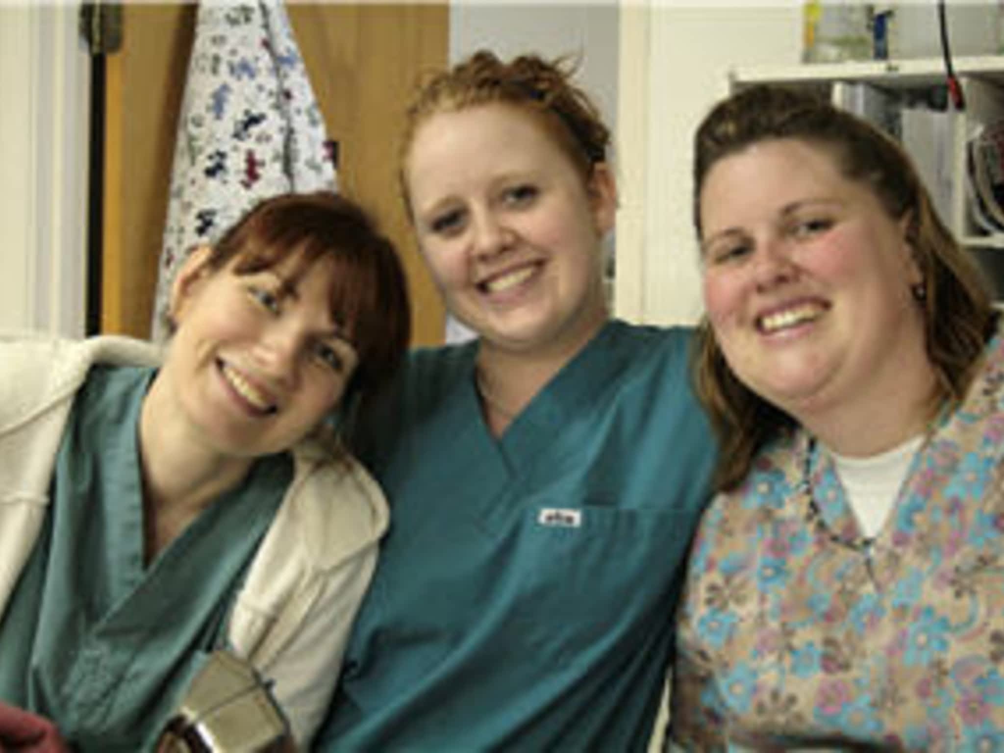 Dr Michelle Cutler Veterinary - Kingston, ON - 435 Division St | Canpages