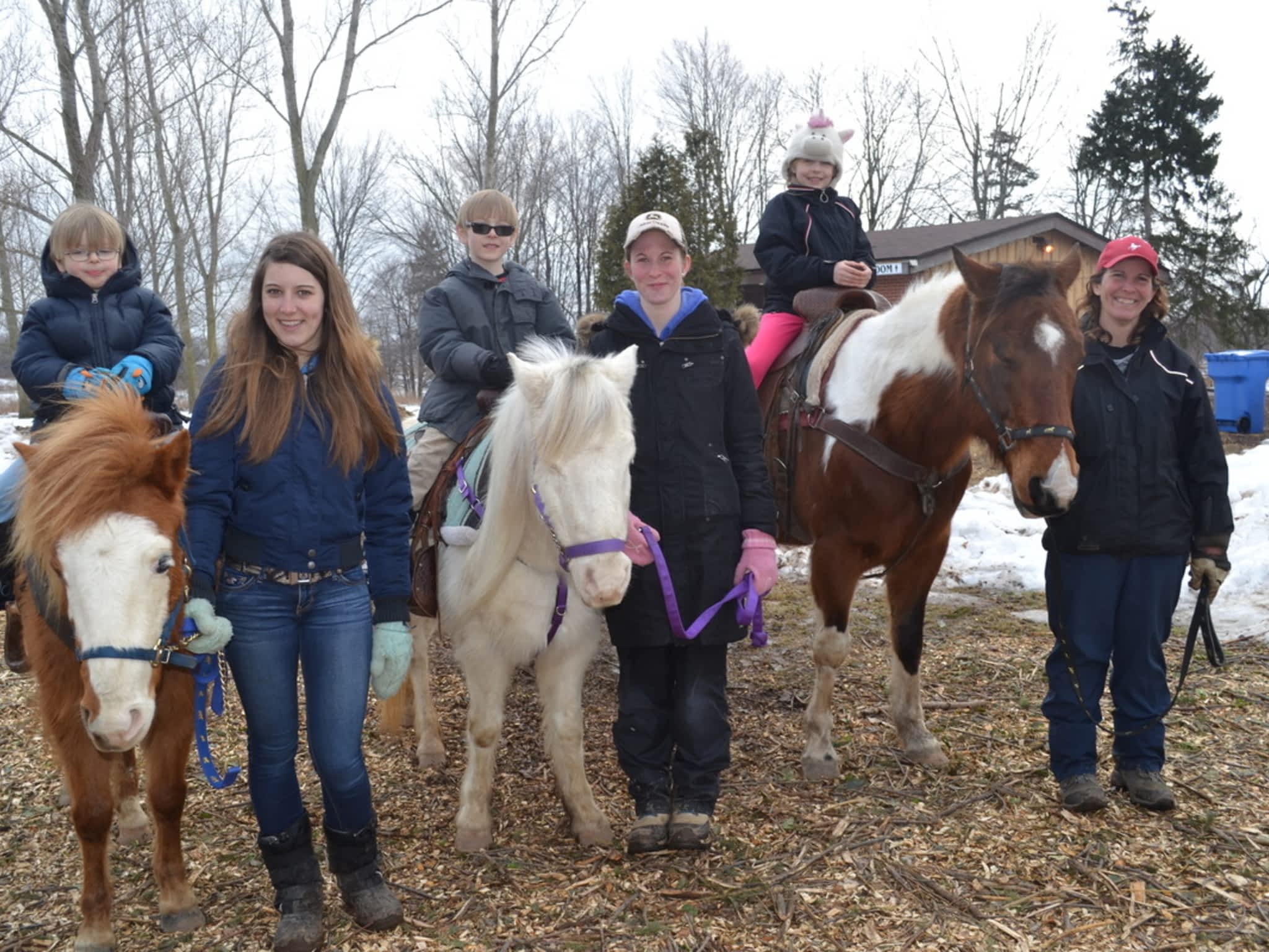 Fox Lair Stables - Canfield, ON - 843 Concession 1 Rd | Canpages