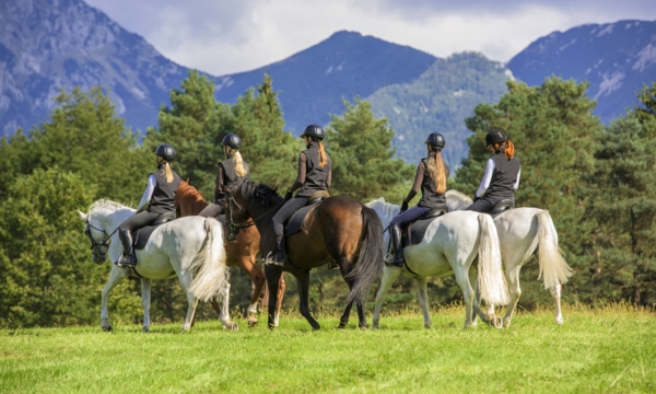 Saddle up! Horseback riding in and around Calgary | YP Smart Lists