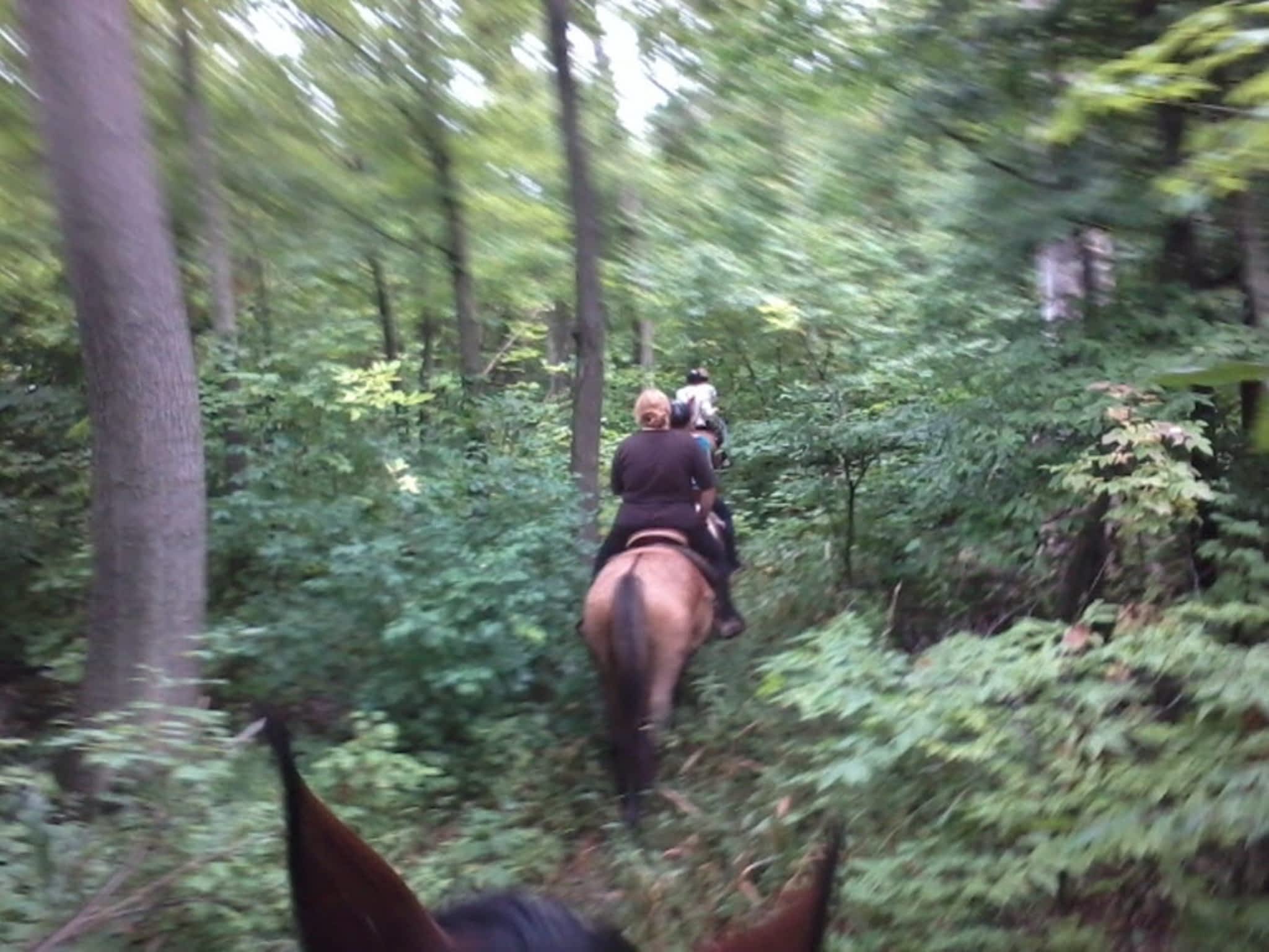 Fox Lair Stables - Canfield, ON - 843 Concession 1 Rd | Canpages