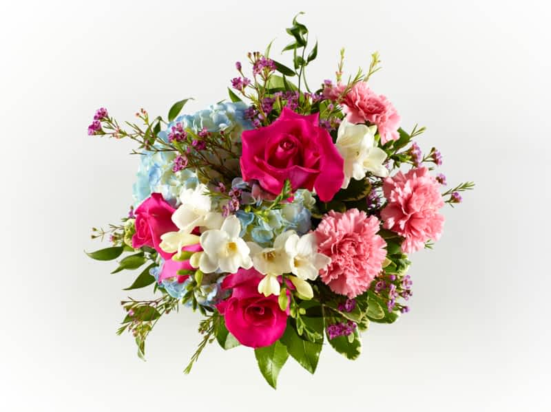 Brant Florist Opening Hours 461 Brant St Burlington ON