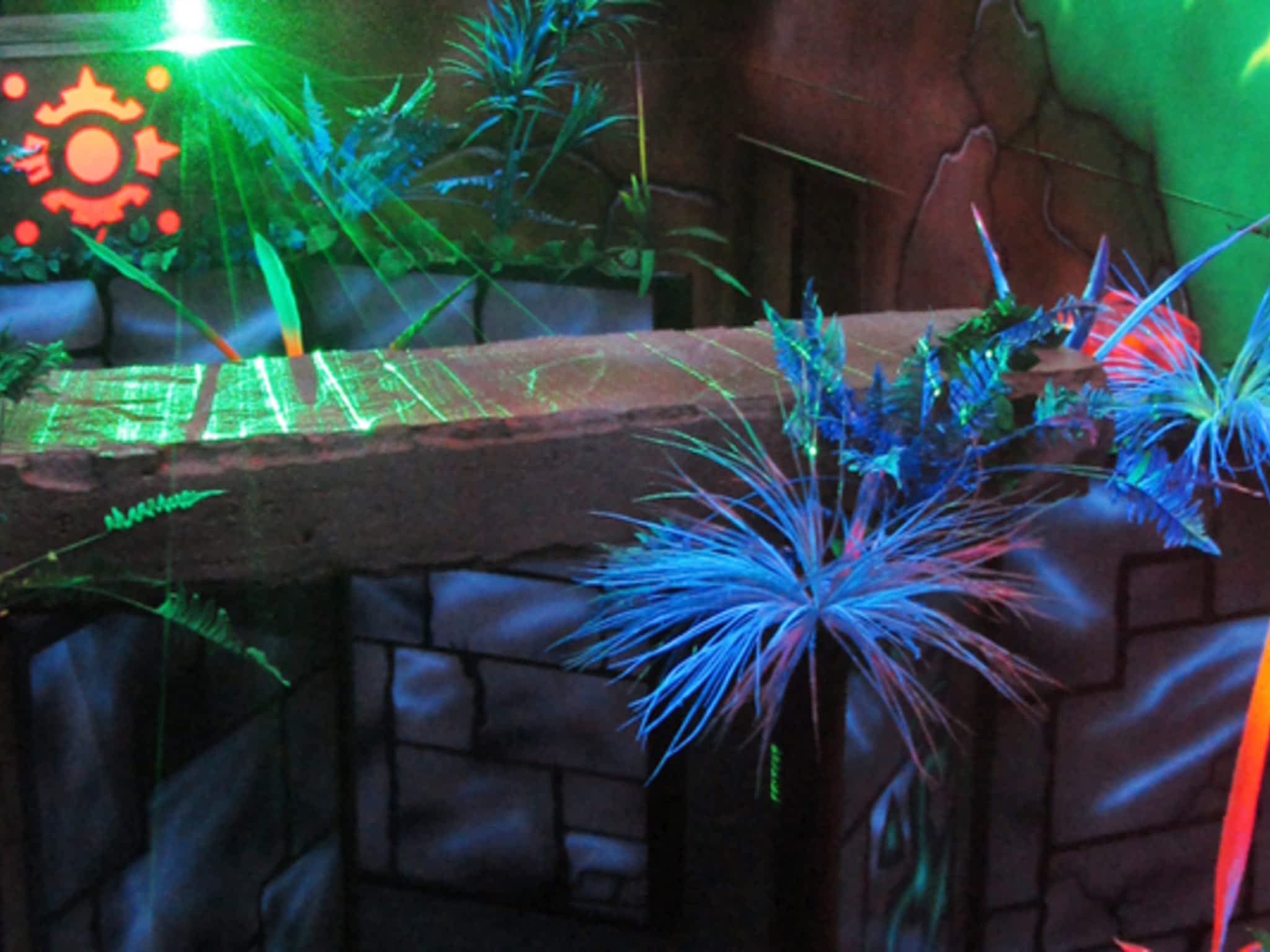 Laser Topia Inc - Fort Garry, MB - 5-1140 Waverley St | Canpages