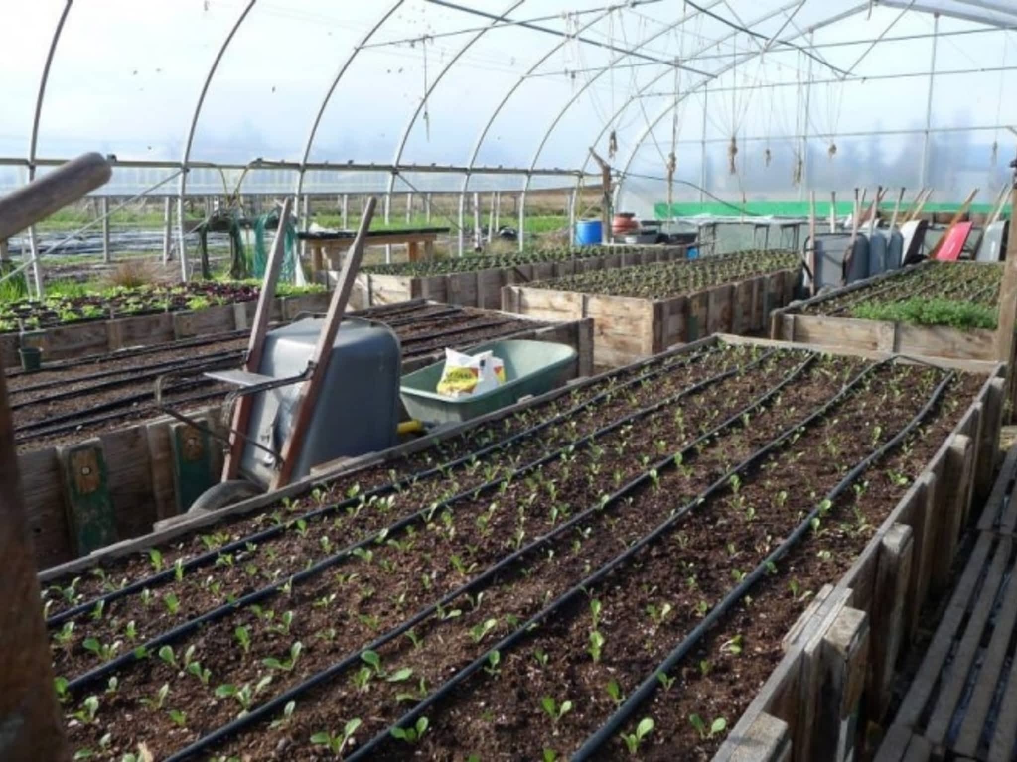 The Sharing Farm Society - Richmond, BC - 2771 Westminster Hwy | Canpages