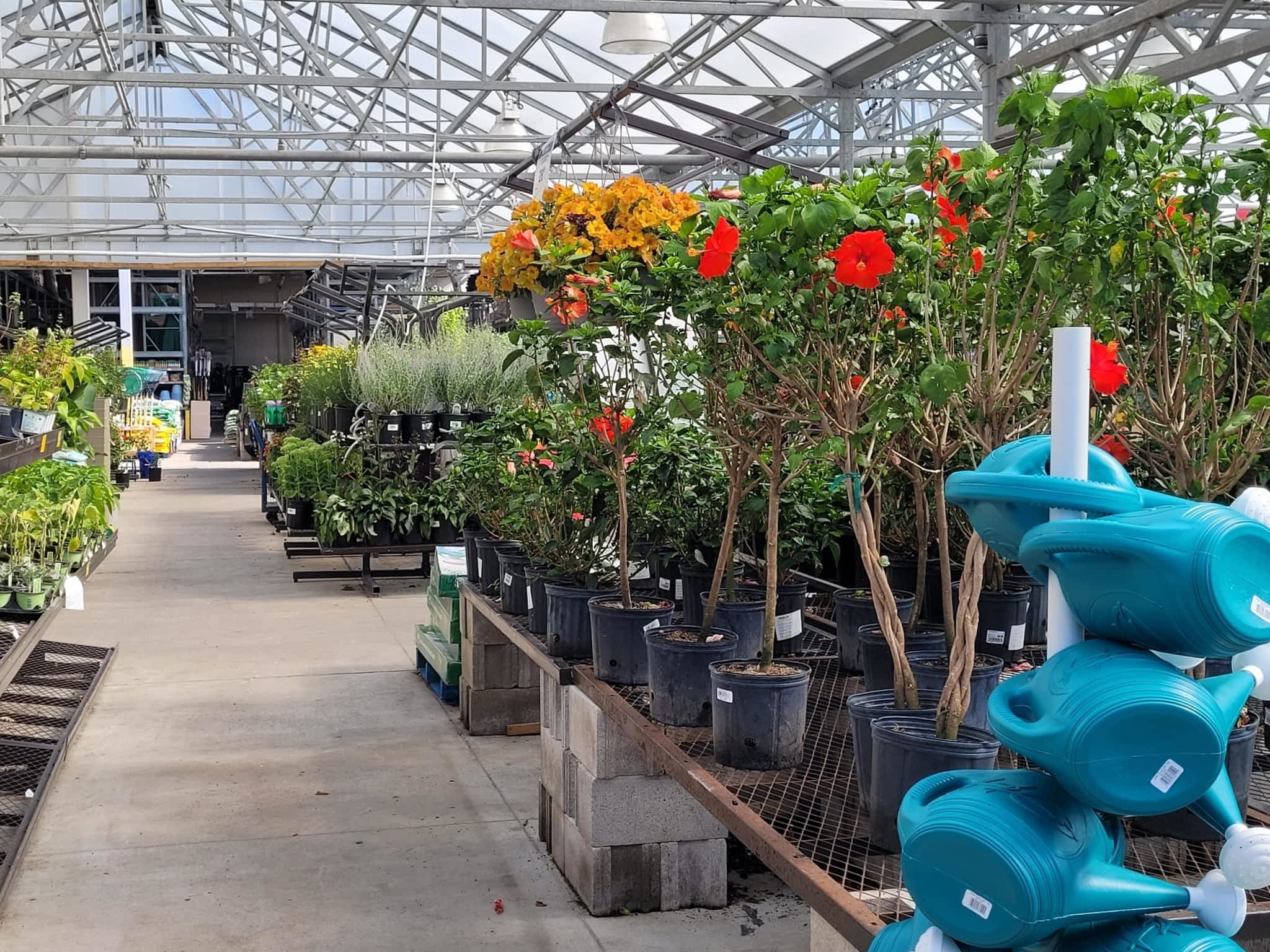 Garden Centre at RONA+ - Sarnia, ON - 1390 Quinn Drive | Canpages