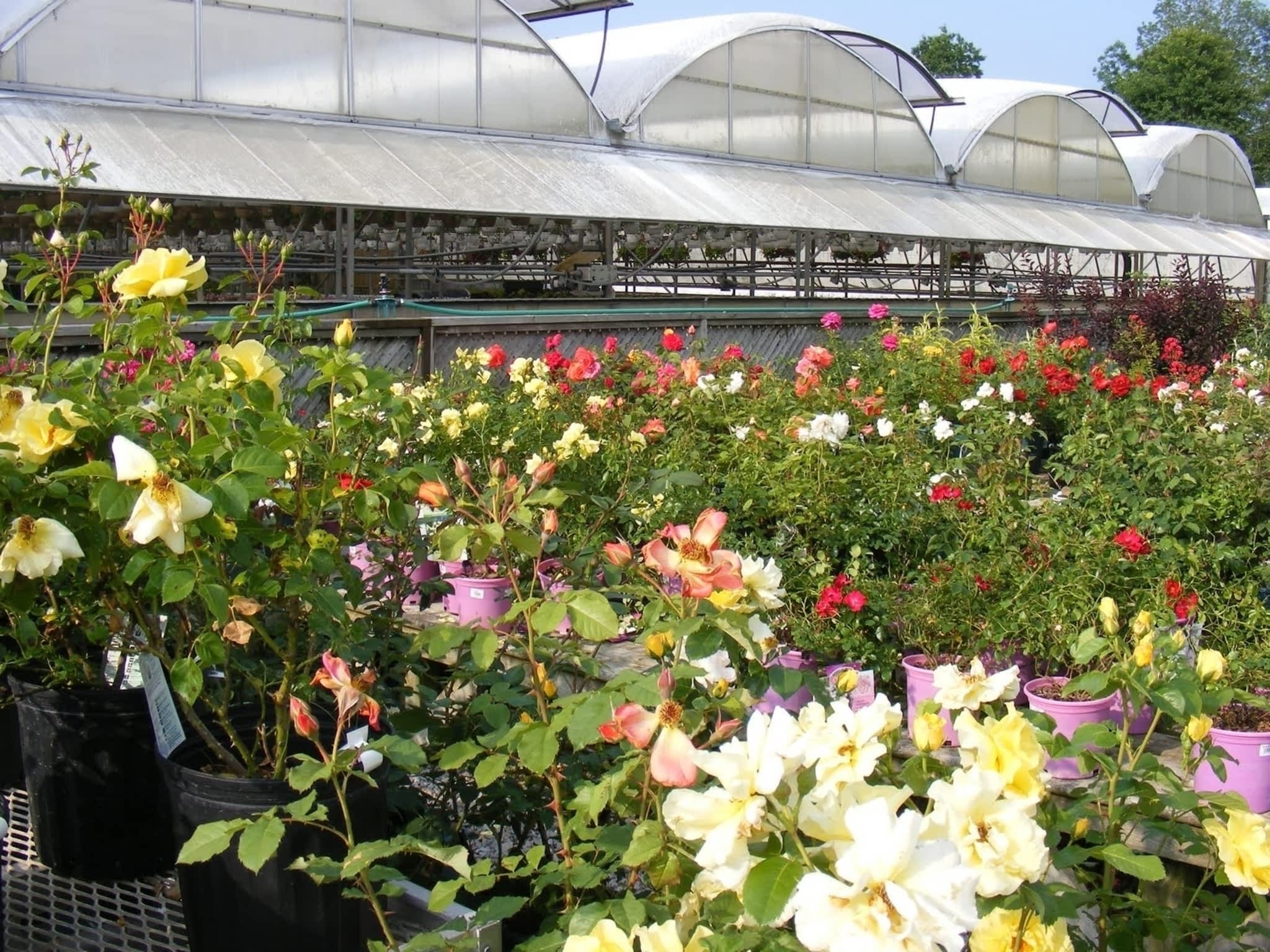 Vermeer's Garden Centre And Flower Shop - Welland, ON - 684 South ...