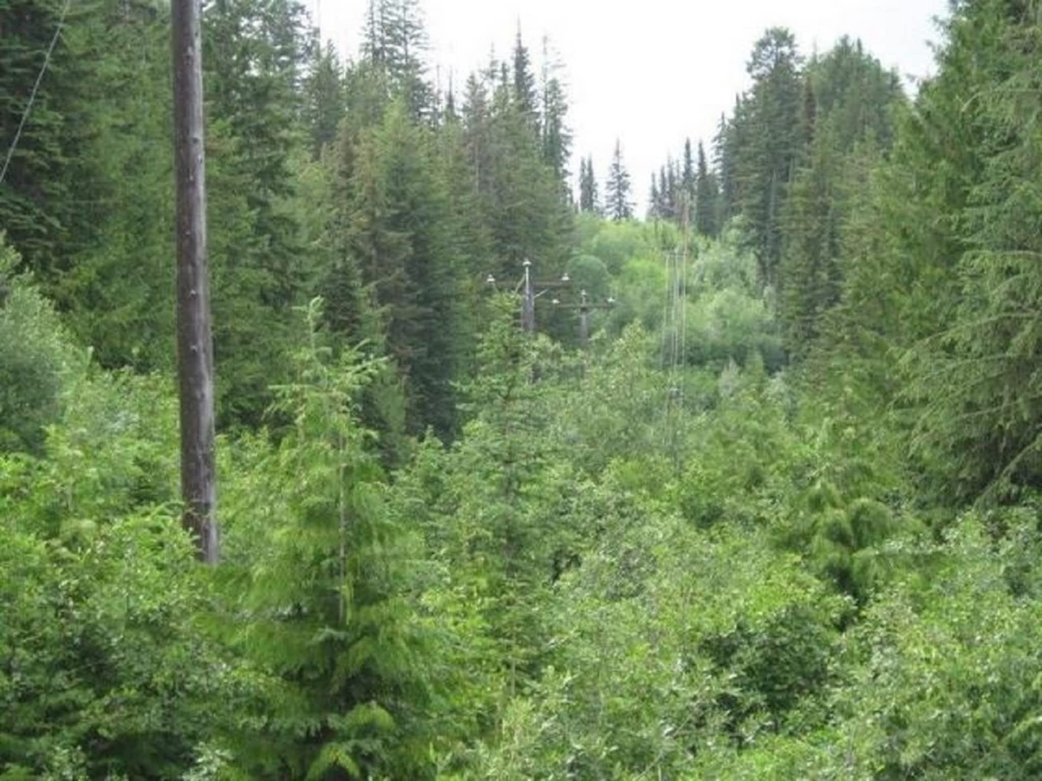 BC Pole - Kamloops, BC - 889 East Shushwap Road | Canpages