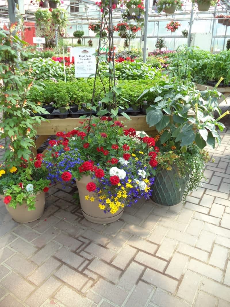 Parkland Nurseries & Garden Centre Ltd - Red Deer County, AB - 26554 ...