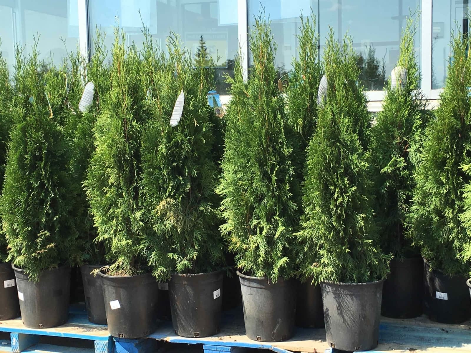 Réno-Dépôt St-Hubert - Opening Hours - 5035 Boul Cousineau, Saint ...