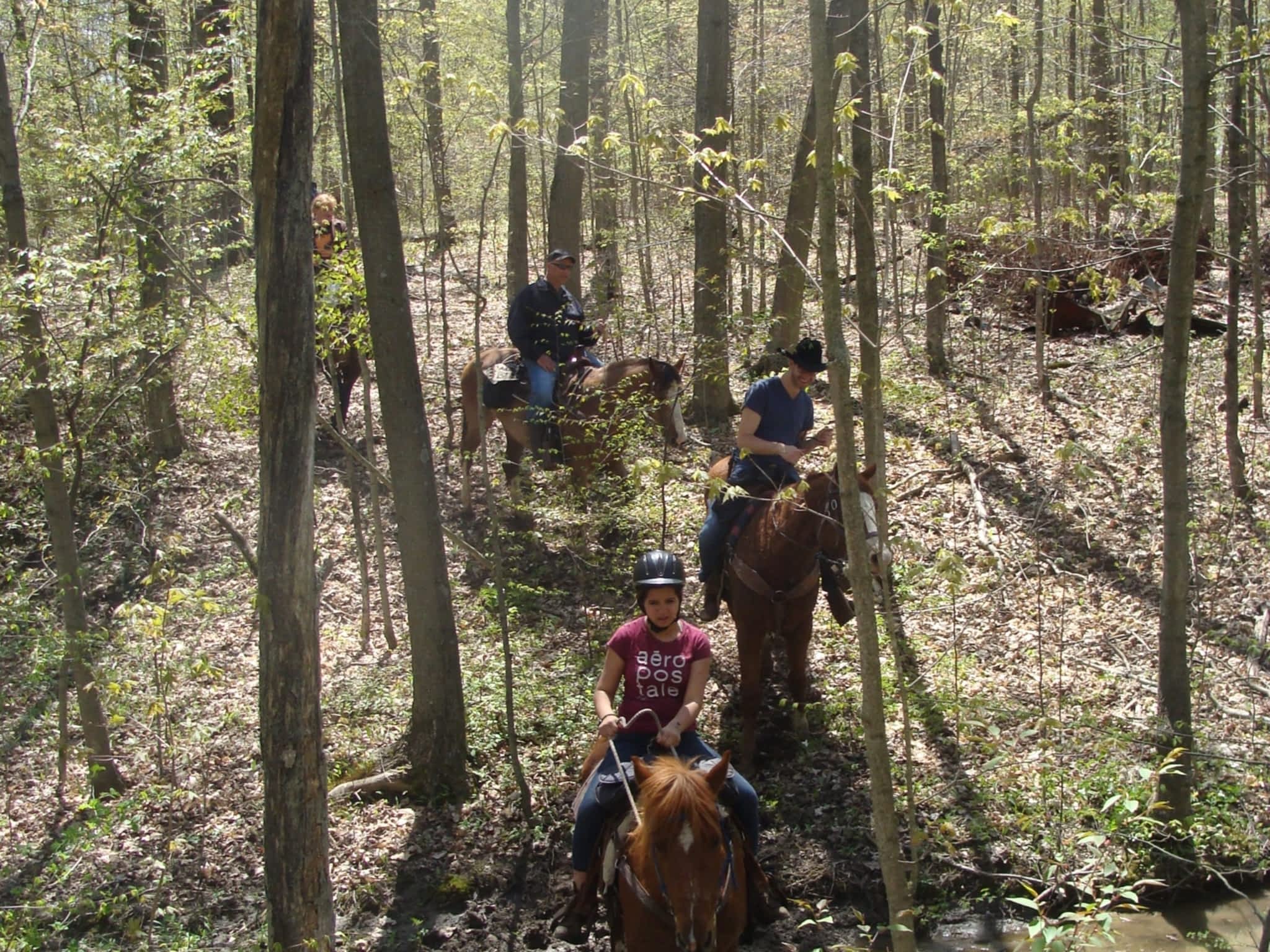 Fox Lair Stables - Canfield, ON - 843 Concession 1 Rd | Canpages