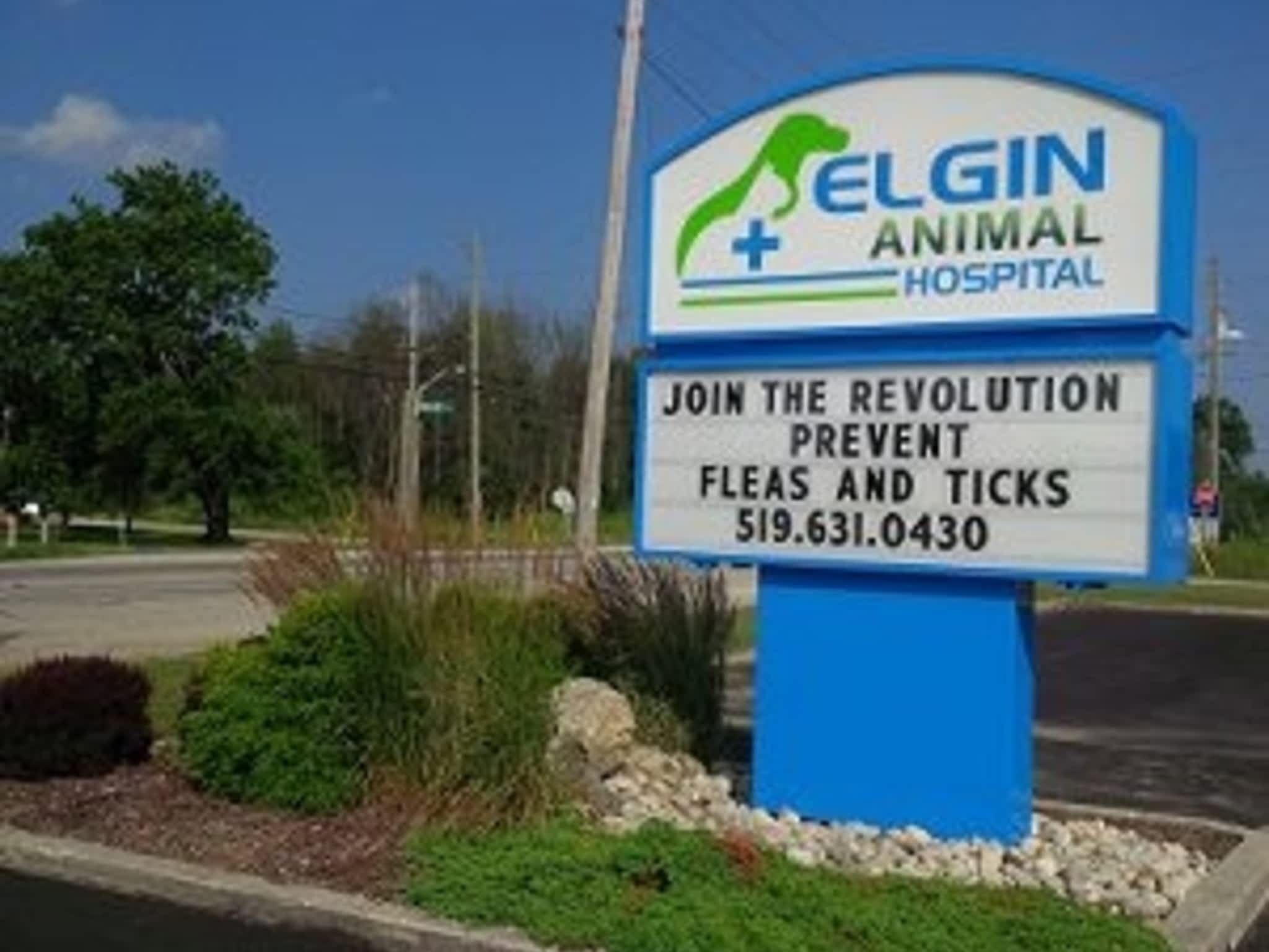 Elgin Animal Hospital - St Thomas, ON - 9789 Sunset Rd | Canpages
