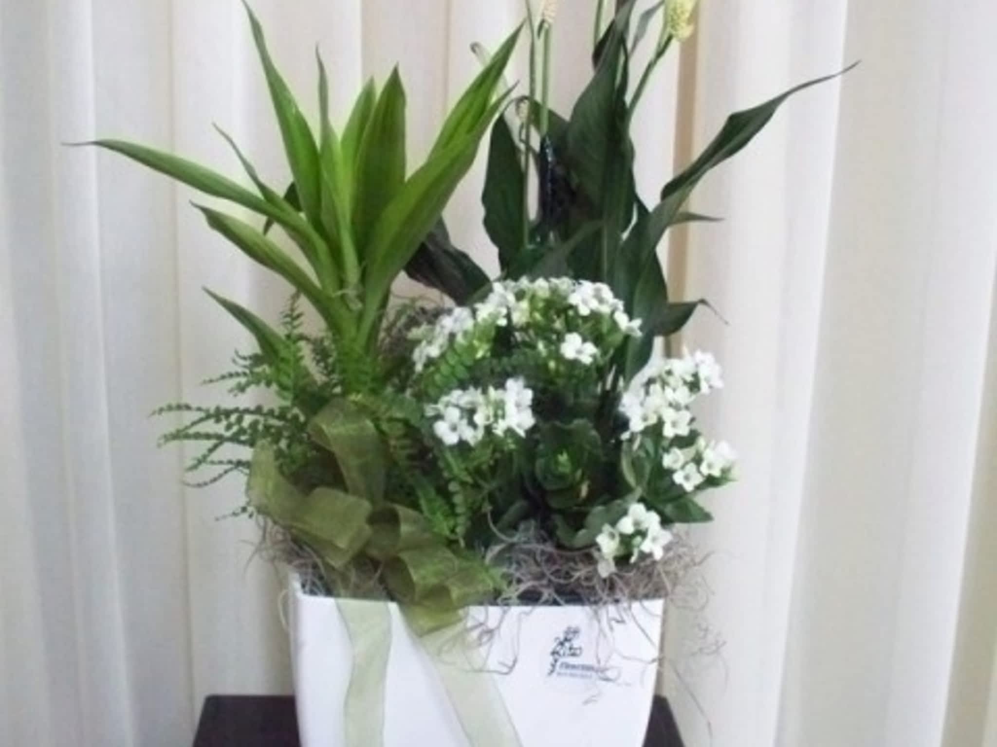 Rita Fleuriste Inc - Sherbrooke, QC - 1255 Rue King Ouest | Canpages