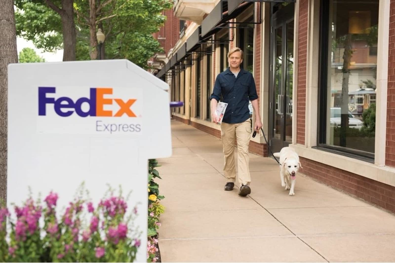 Can You Send A Dog Through Fedex